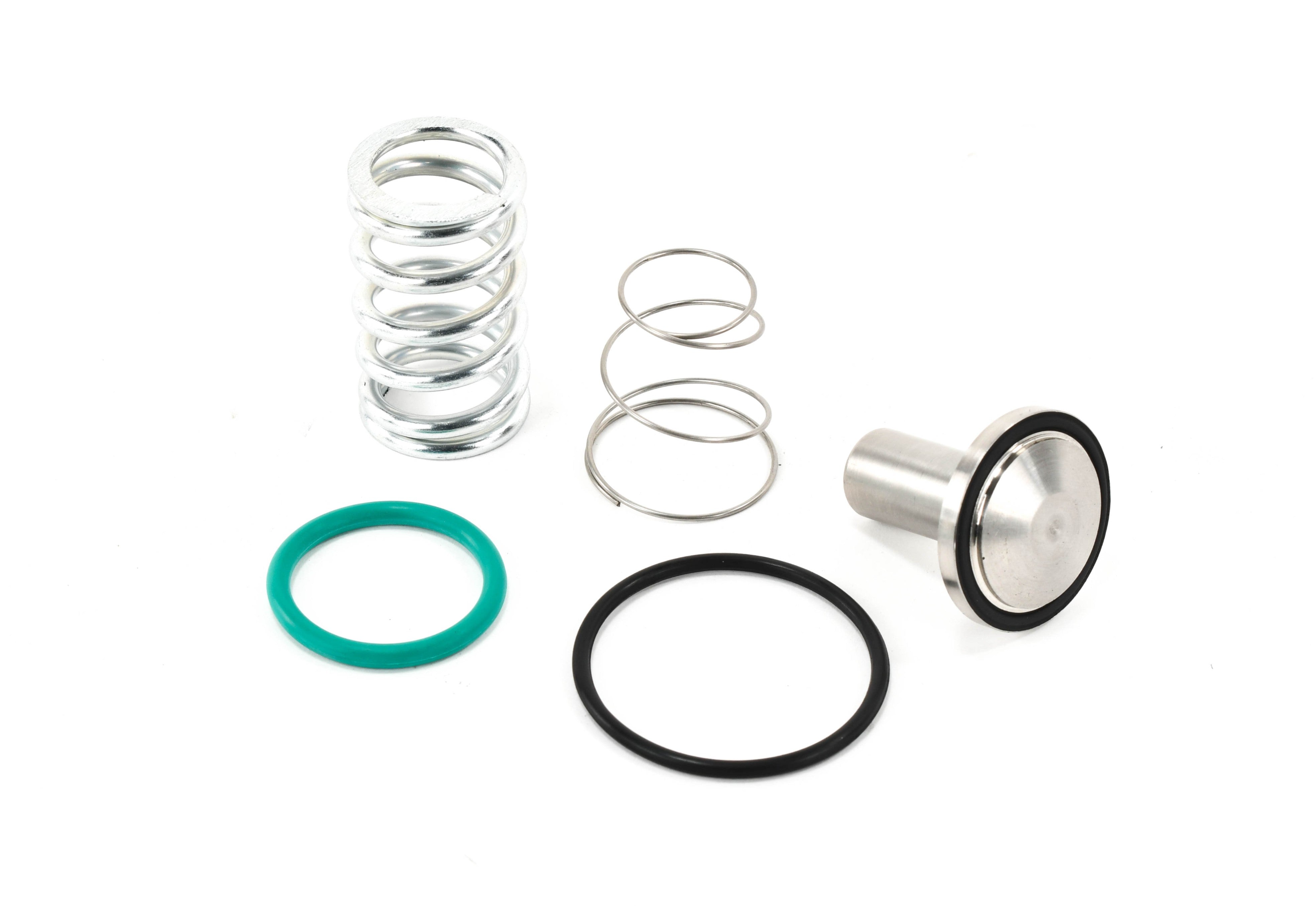 Quincy Minimum Pressure Check Valve Kit Replacement - 6231933500