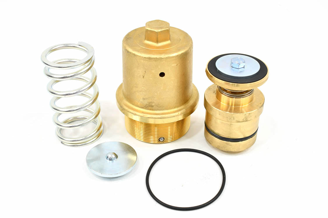 Kaeser Minimum Pressure Check Valve Overhaul Kit Replacement - 202127.