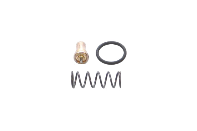 Quincy Thermal Valve Kit Replacement - 2200599825